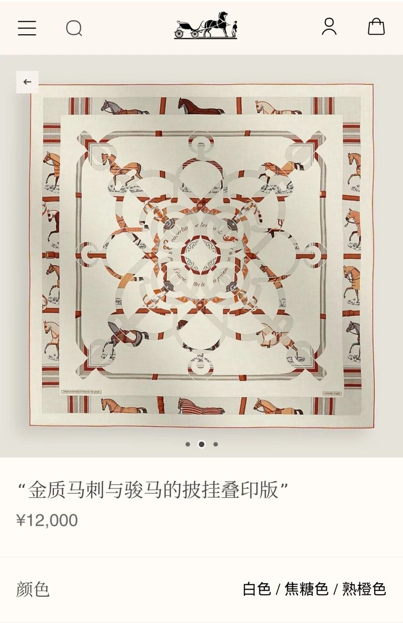 Hermes Scarf