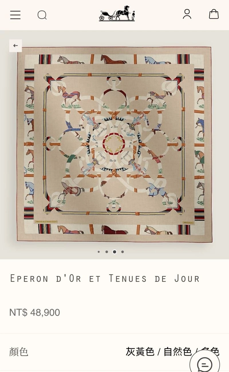 Hermes Scarf