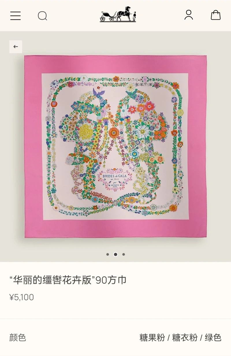 Hermes Scarf