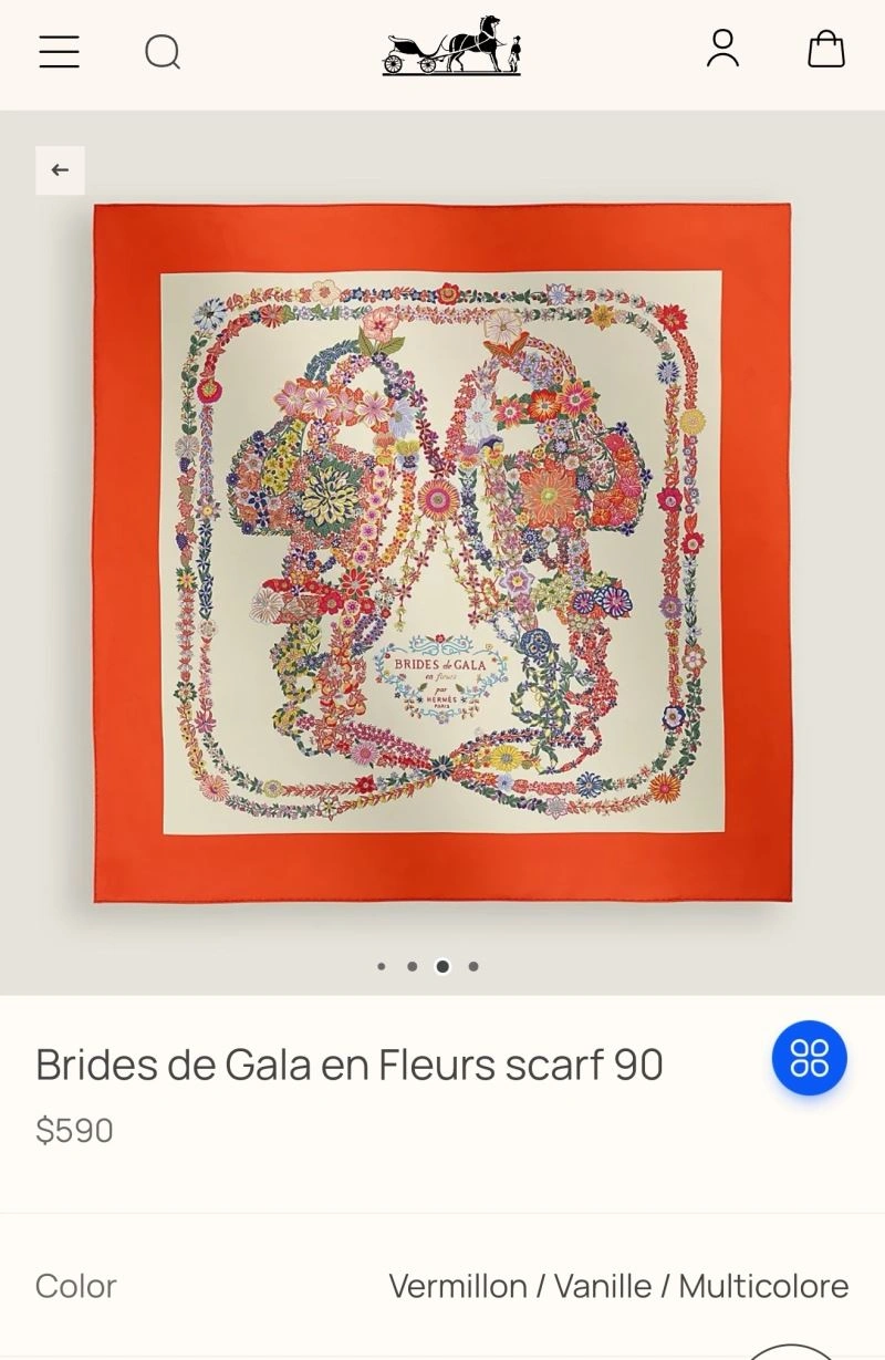 Hermes Scarf