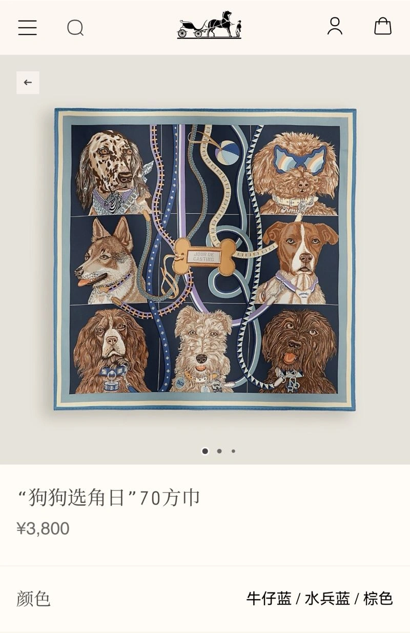 Hermes Scarf