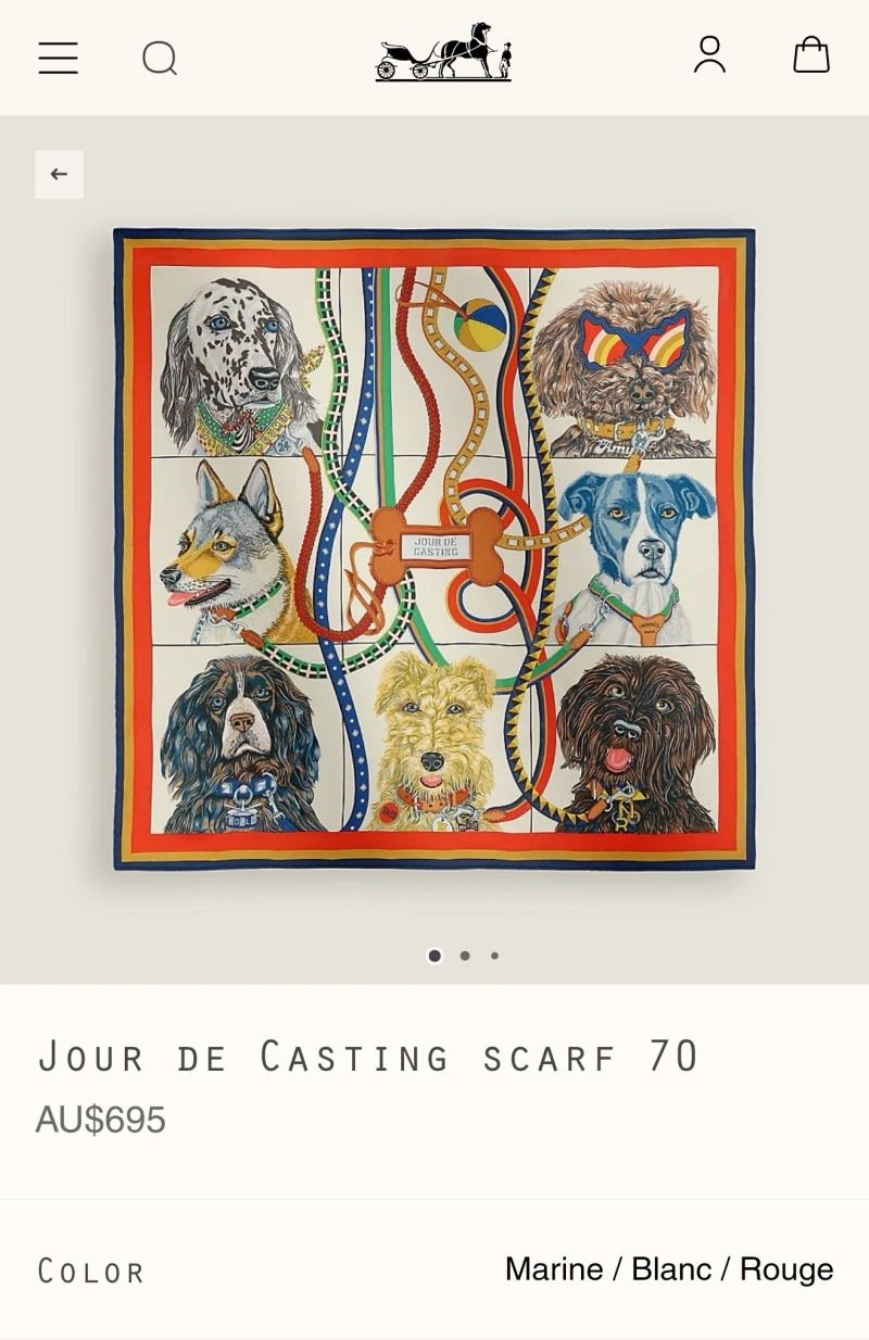 Hermes Scarf