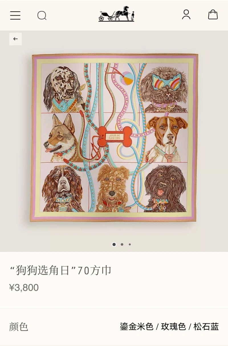 Hermes Scarf
