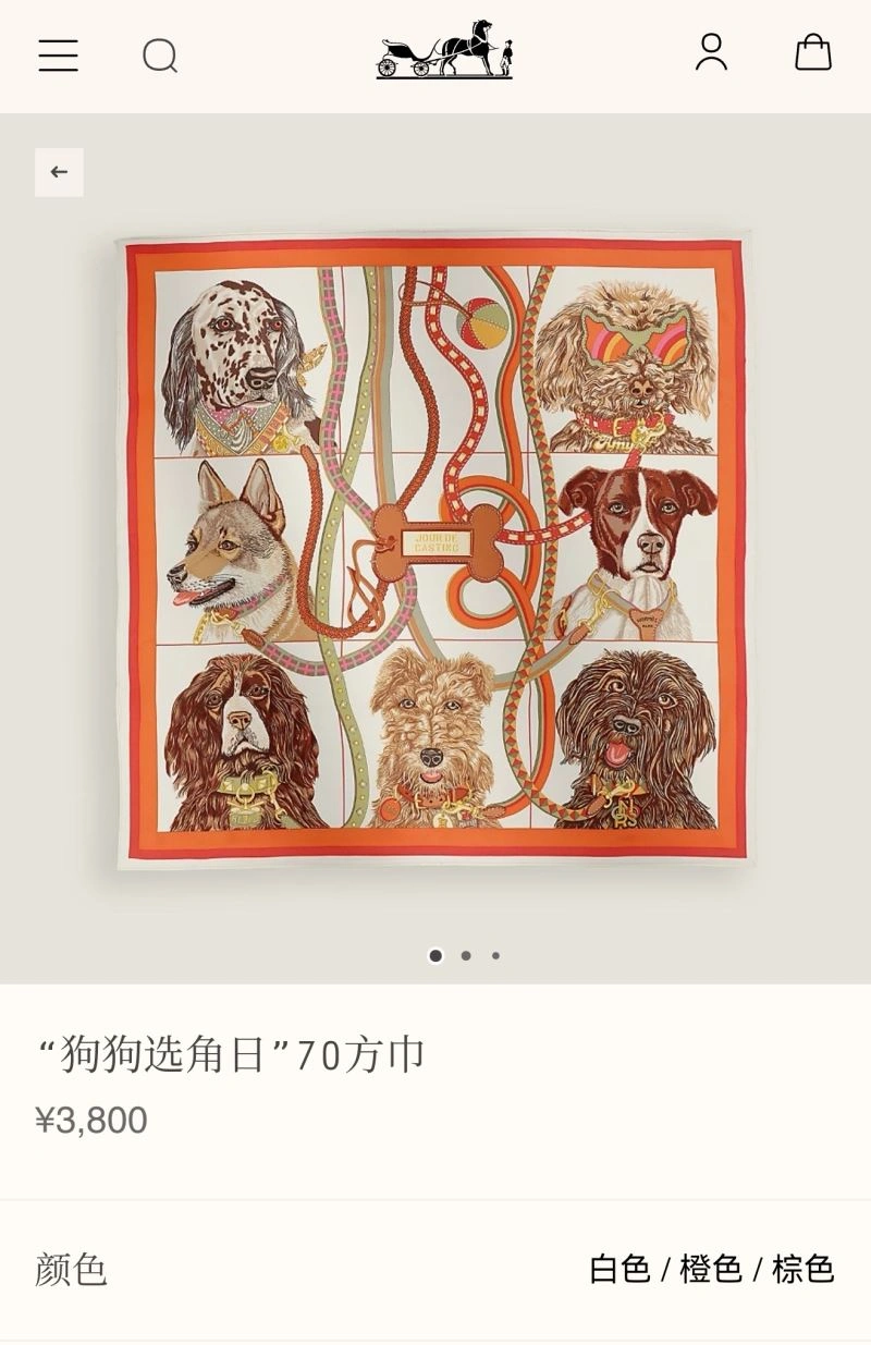 Hermes Scarf