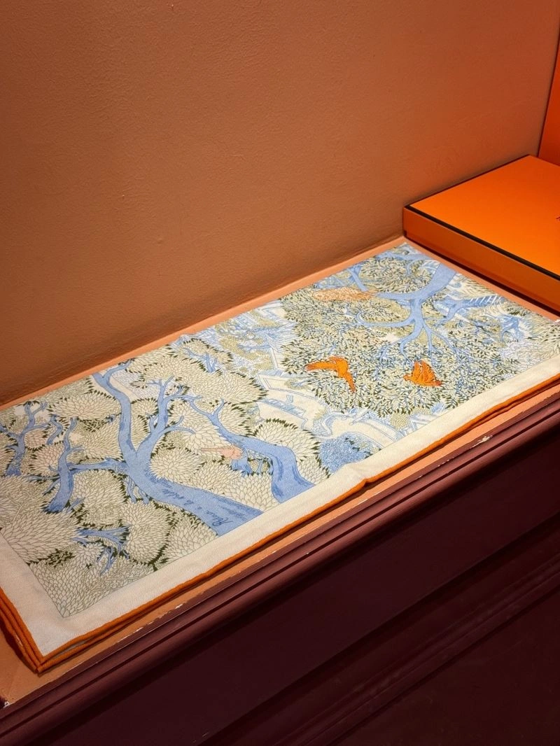 Discounted Hermes Scarf