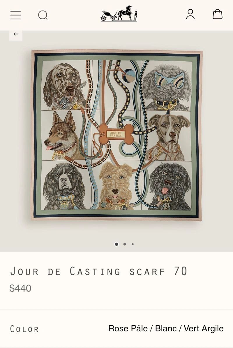 Hermes Scarf