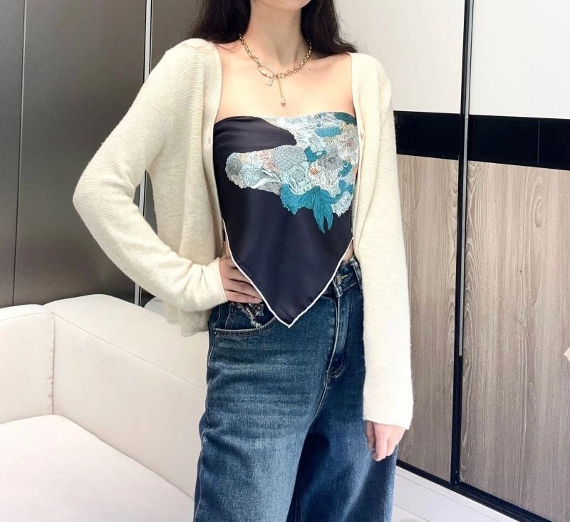 Cut-rate Hermes Scarf
