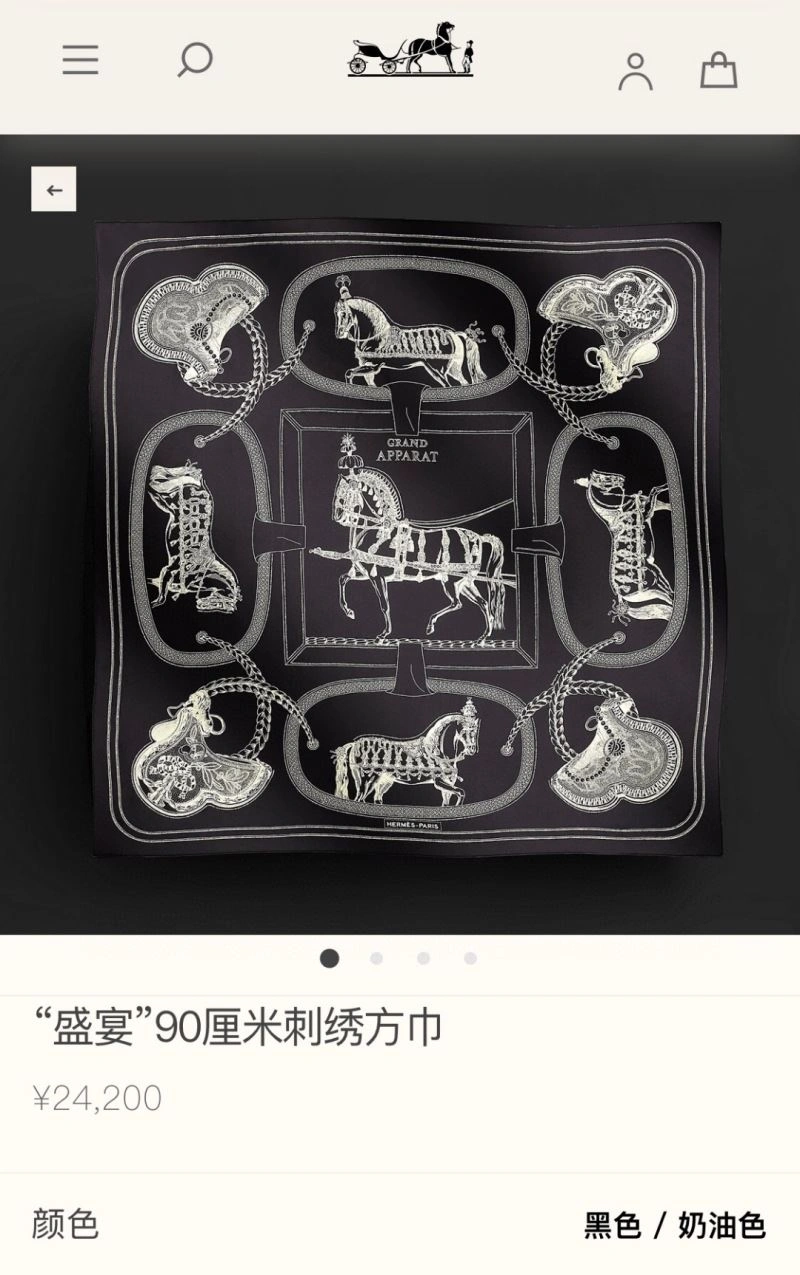 Hermes Scarf