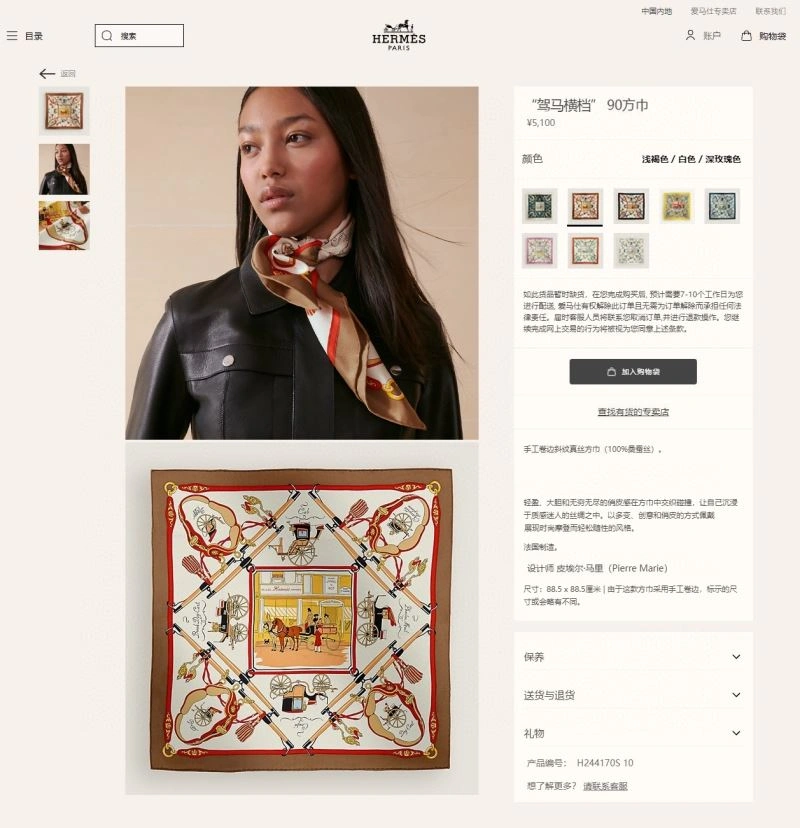Hermes Scarf