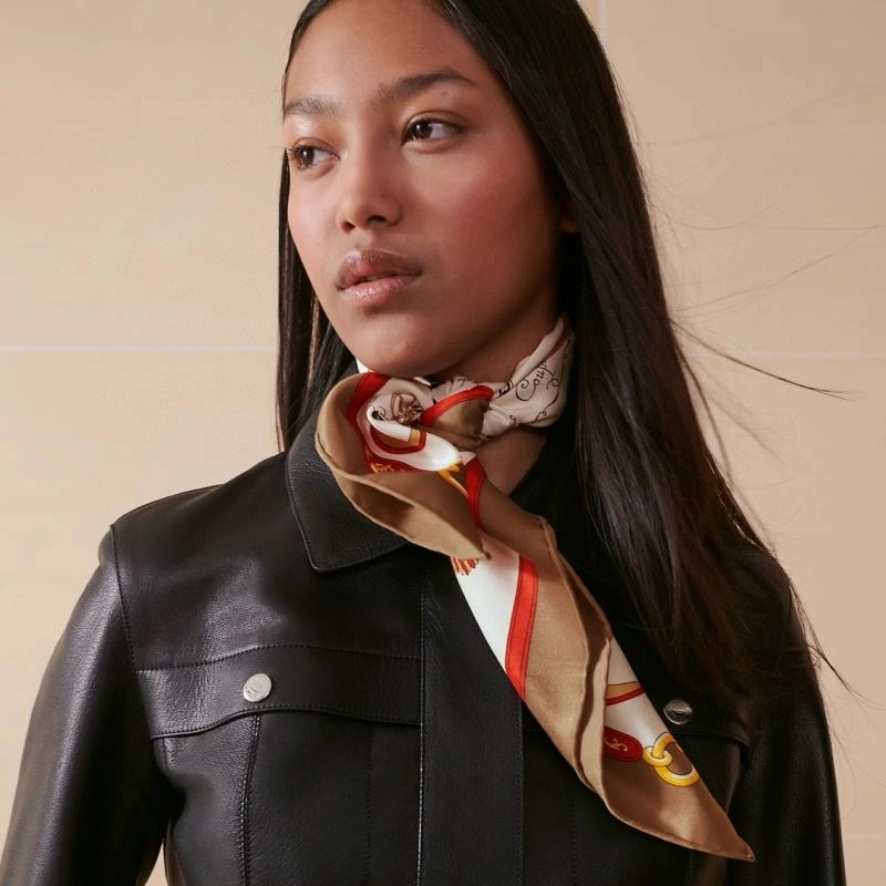 Discounted Hermes Scarf