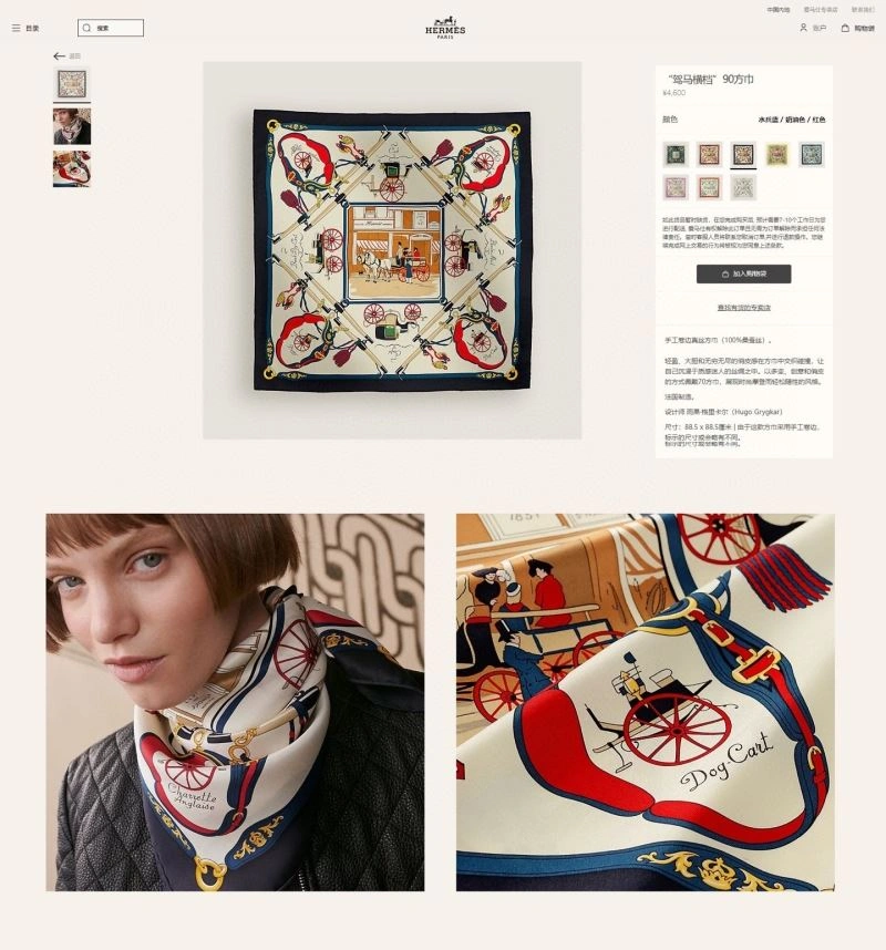 Hermes Scarf