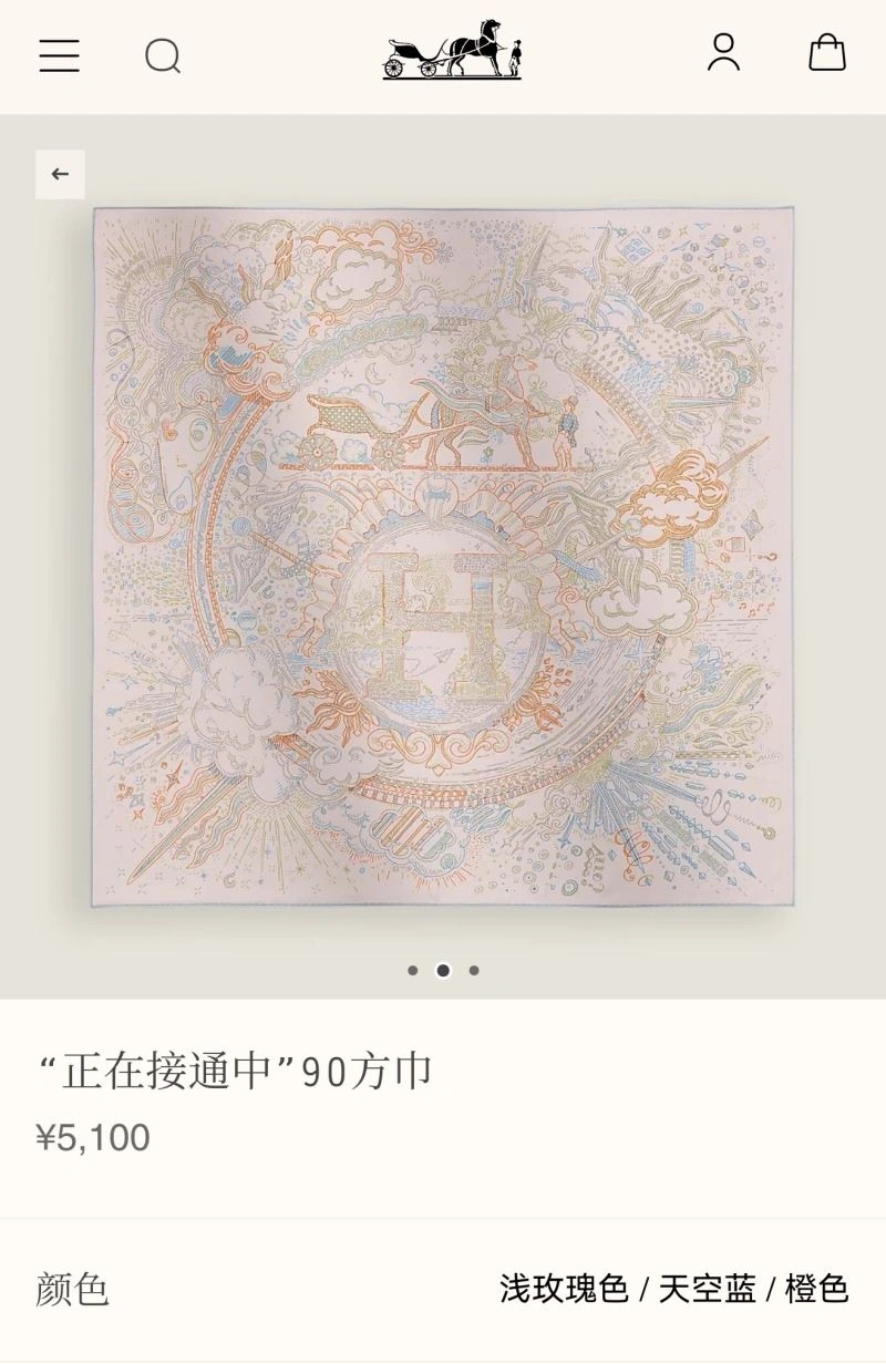 Hermes Scarf