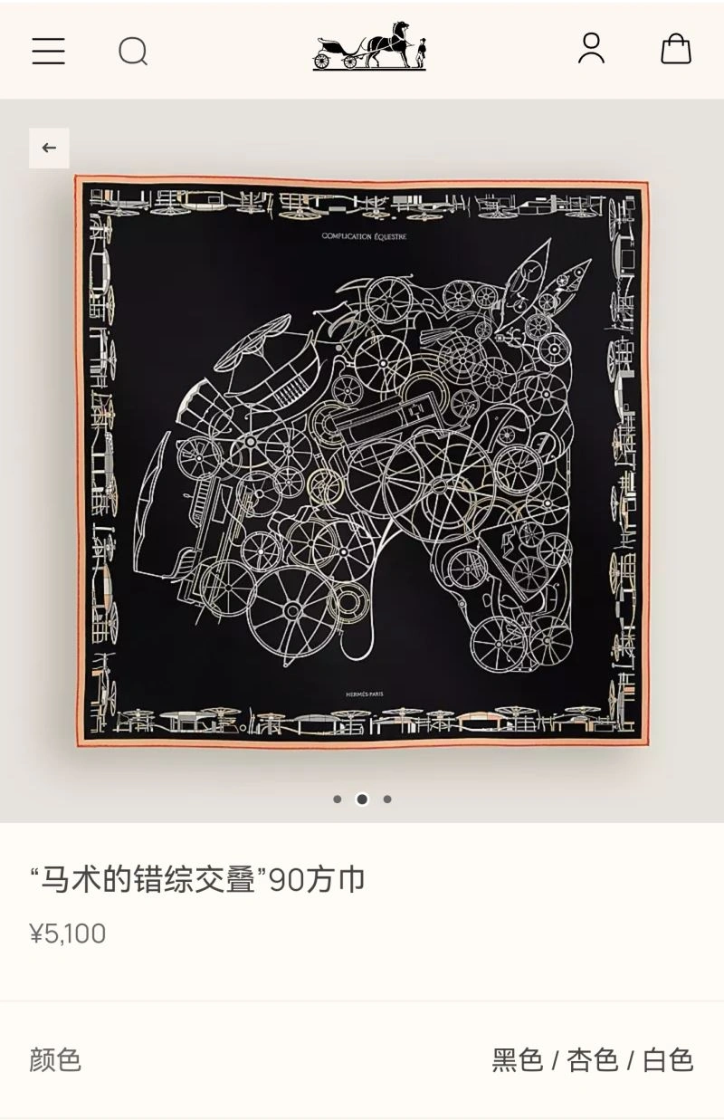 Hermes Scarf