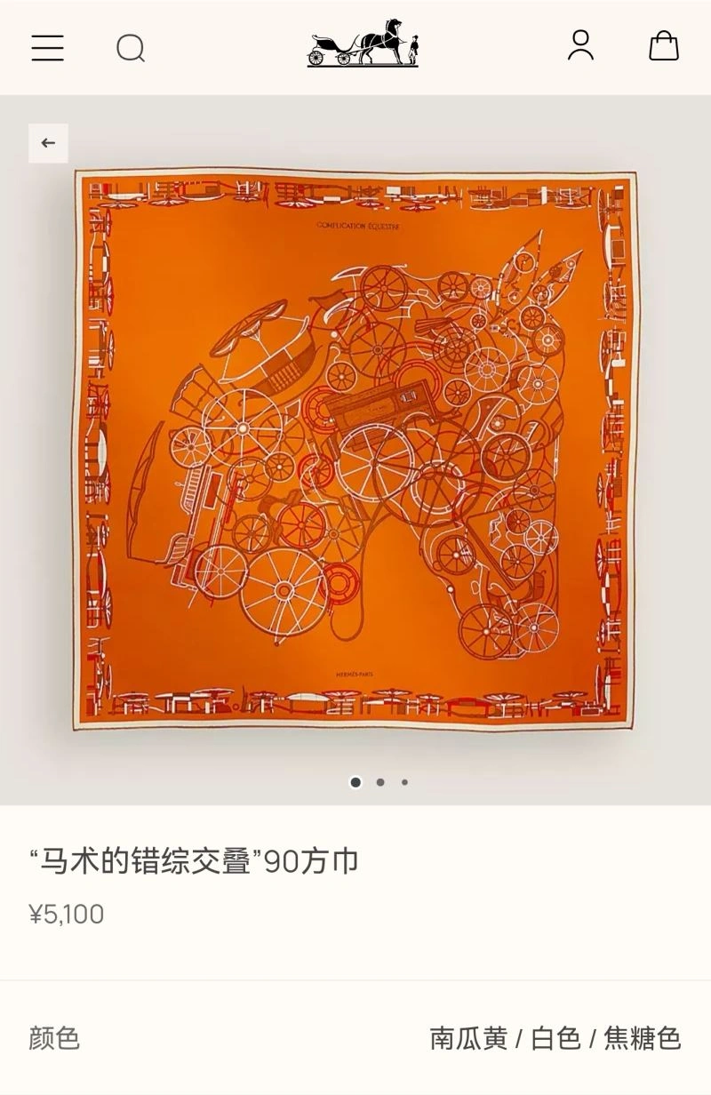 Hermes Scarf