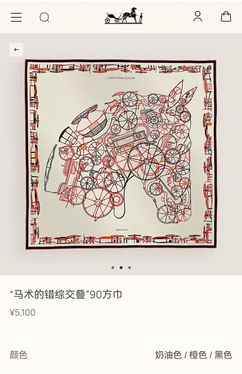 Hermes Scarf