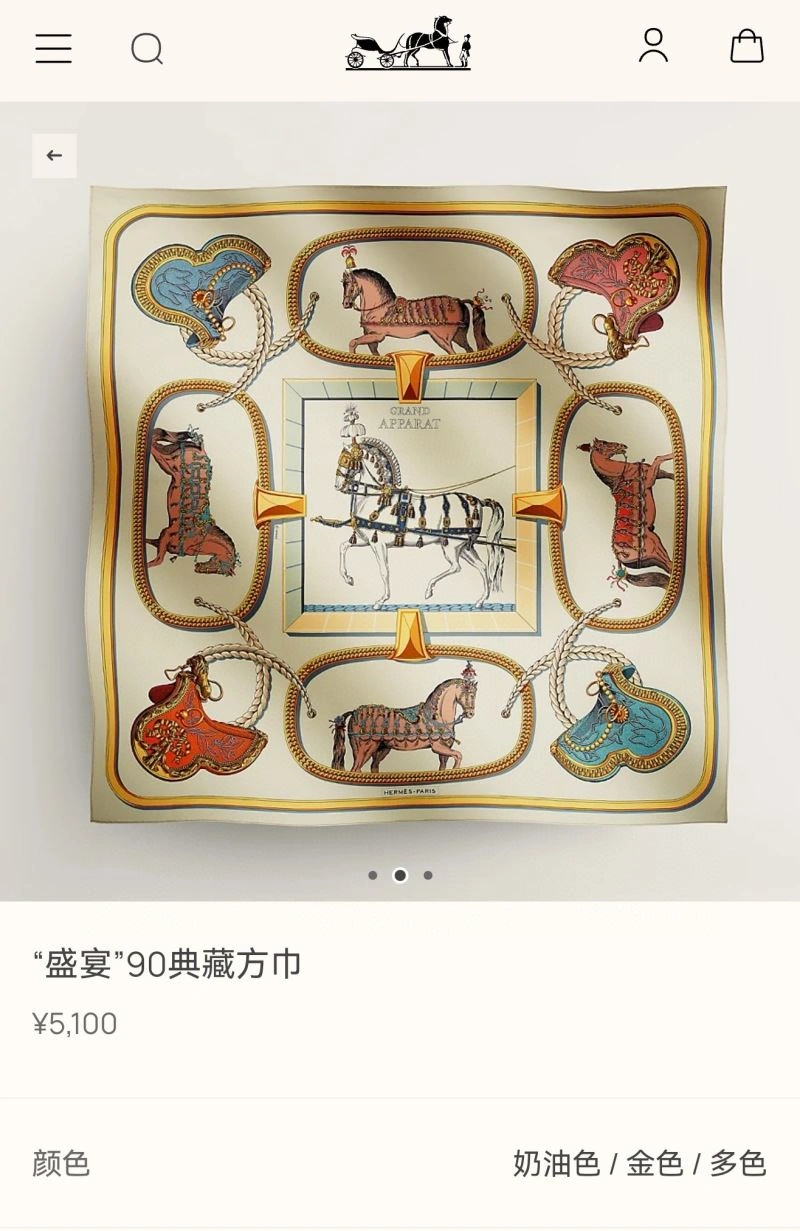 Hermes Scarf