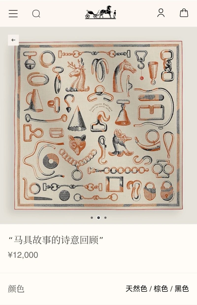 Hermes Scarf