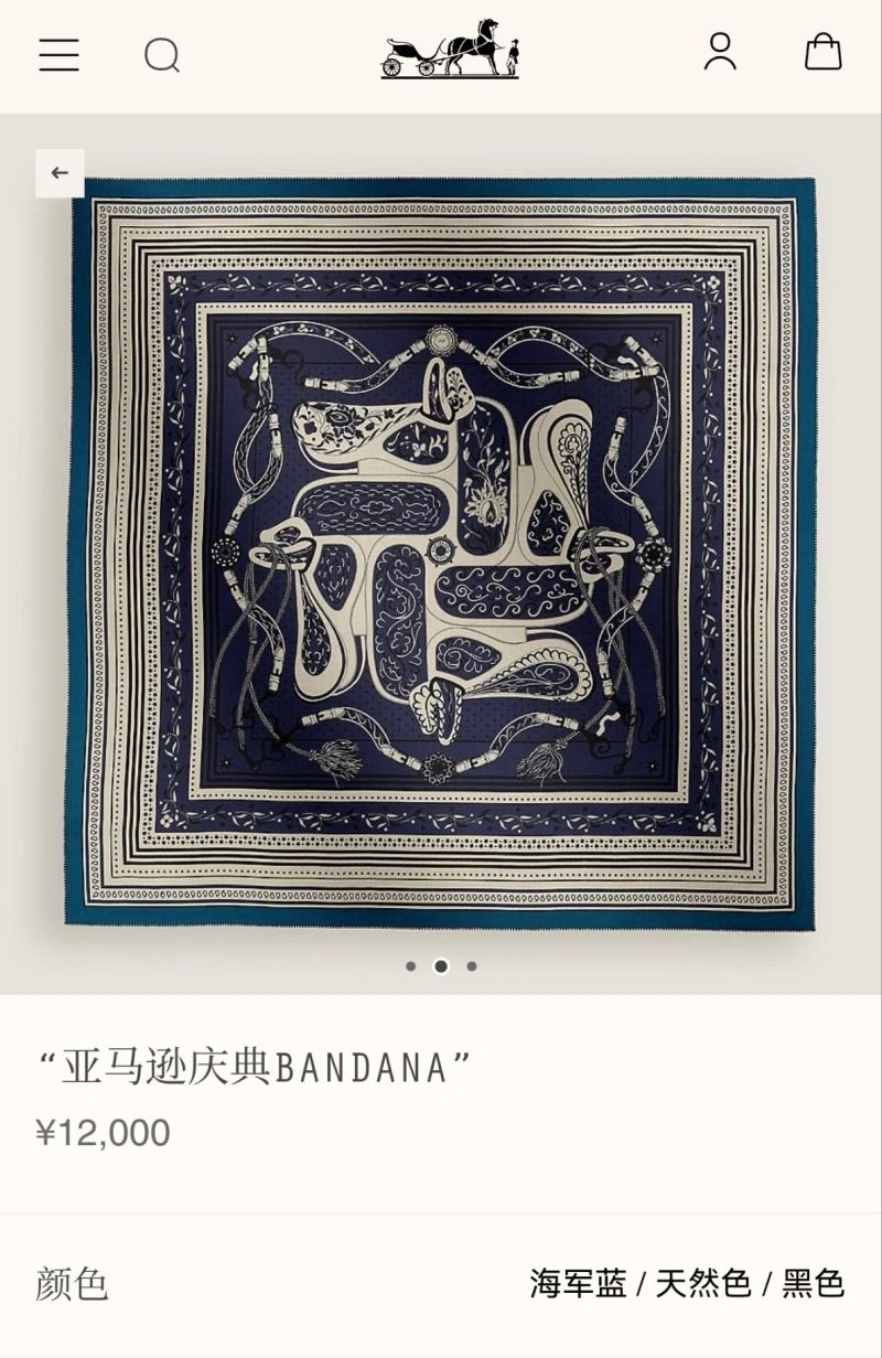 Hermes Scarf