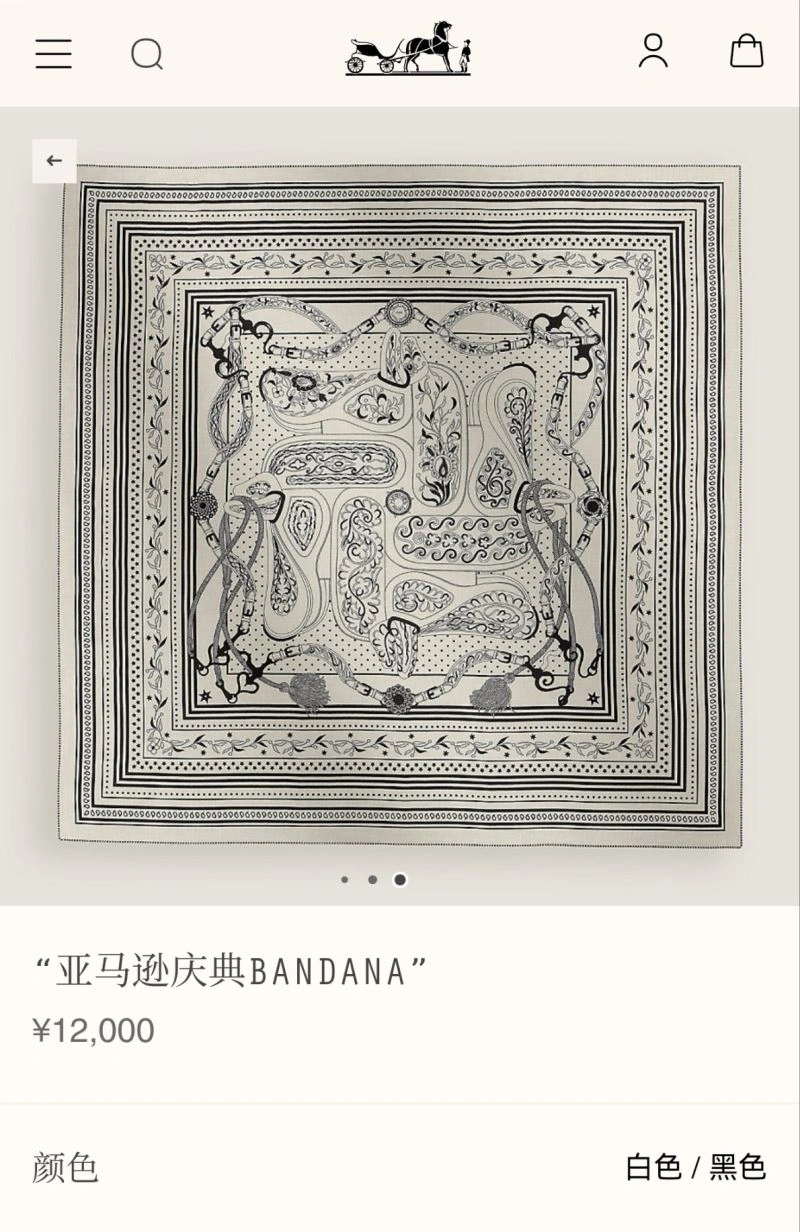 Hermes Scarf