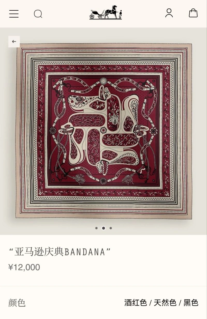 Hermes Scarf