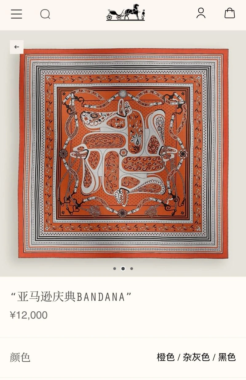Hermes Scarf