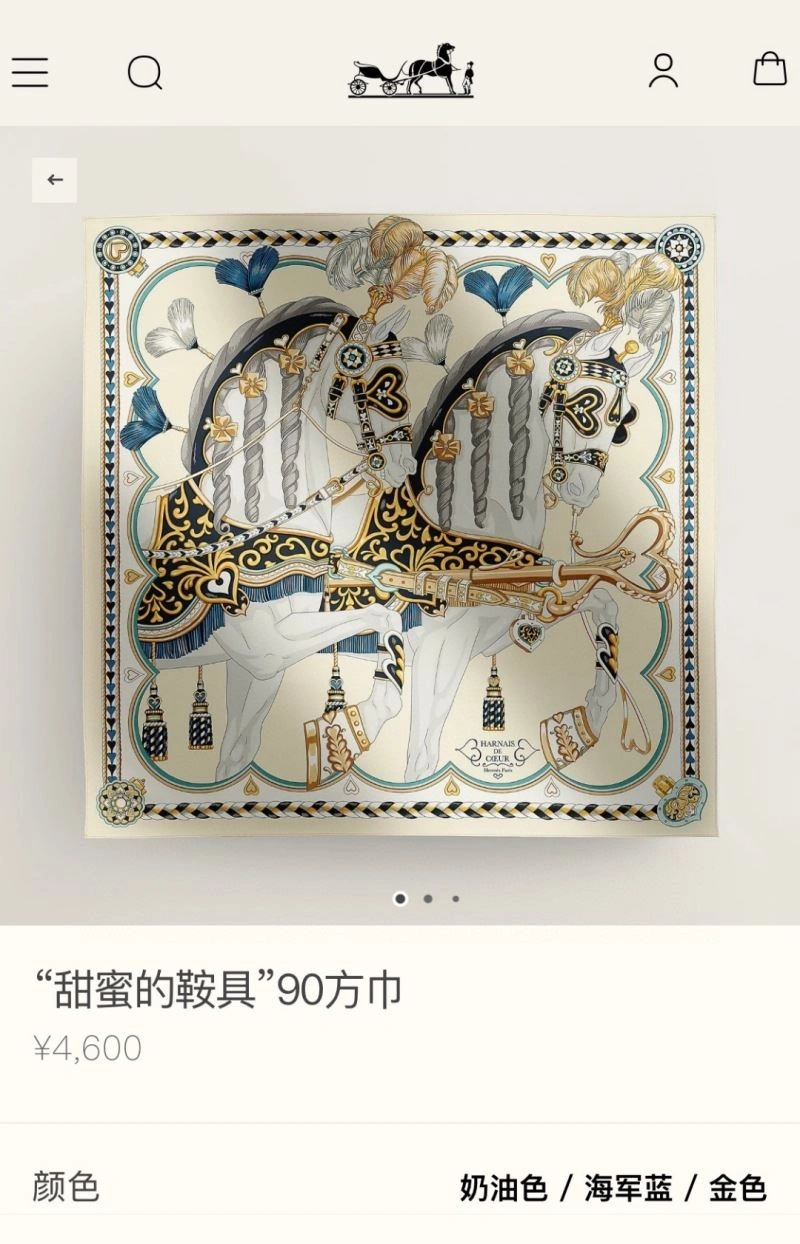 Hermes Scarf
