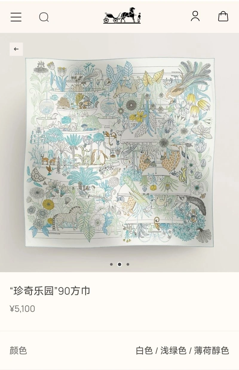 Hermes Scarf