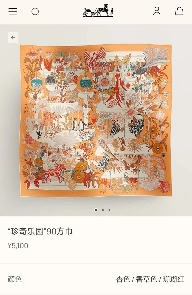 Hermes Scarf