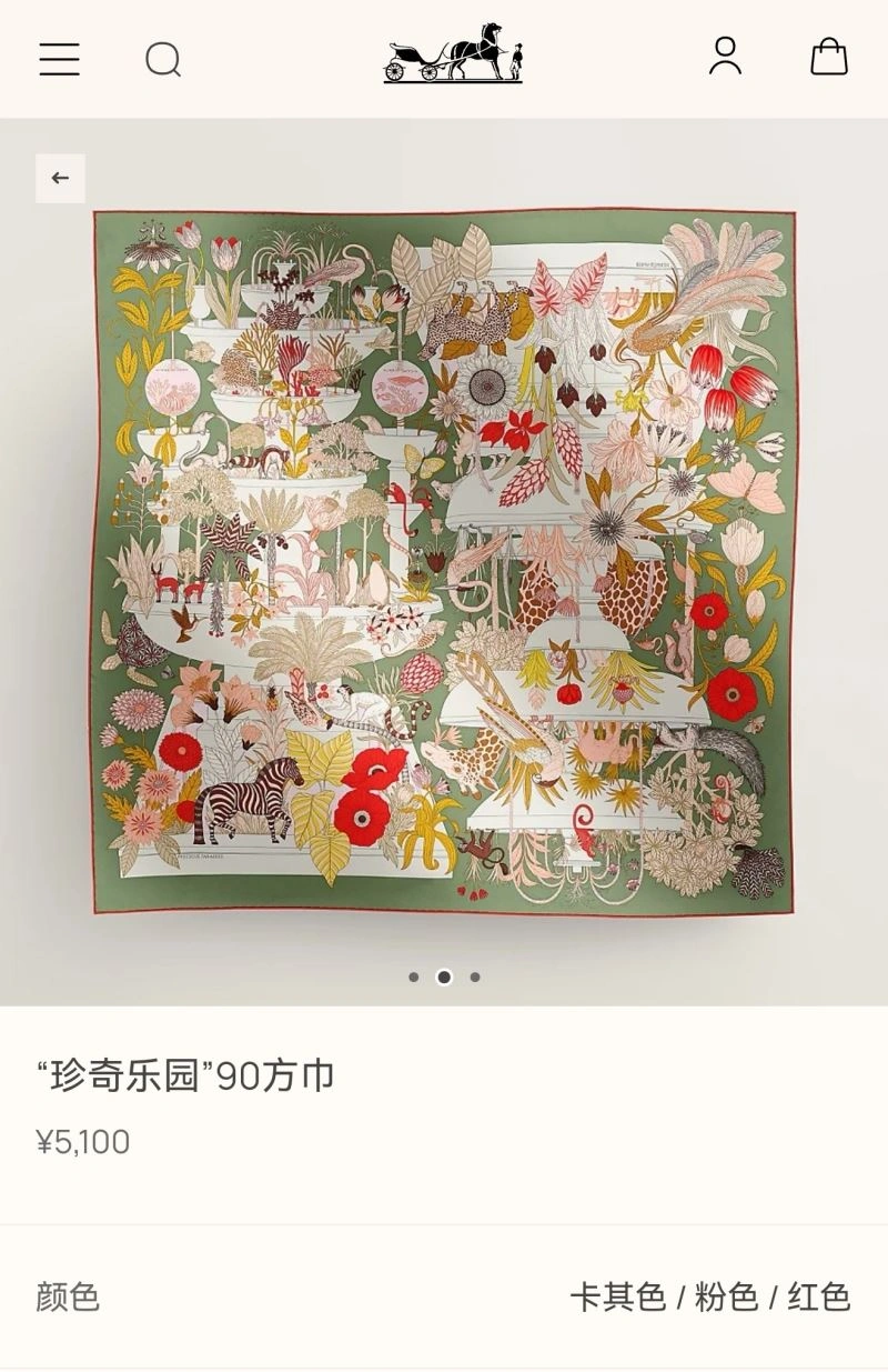 Hermes Scarf