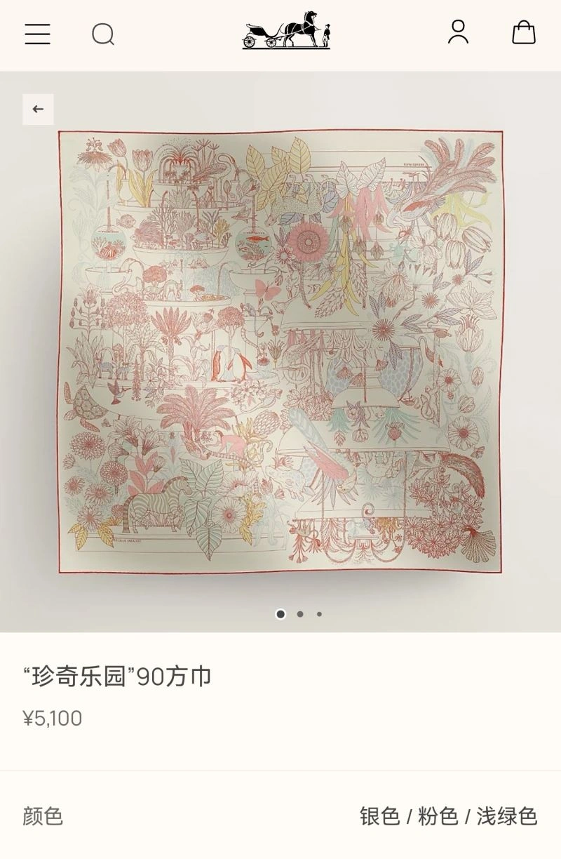 Hermes Scarf