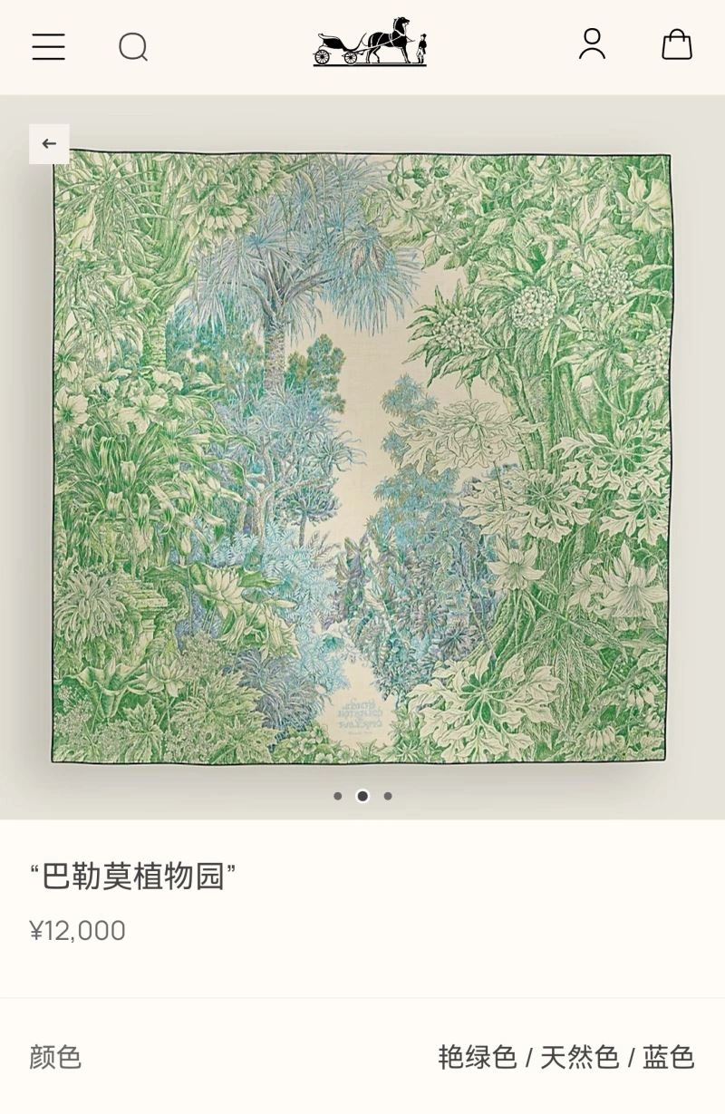 Hermes Scarf