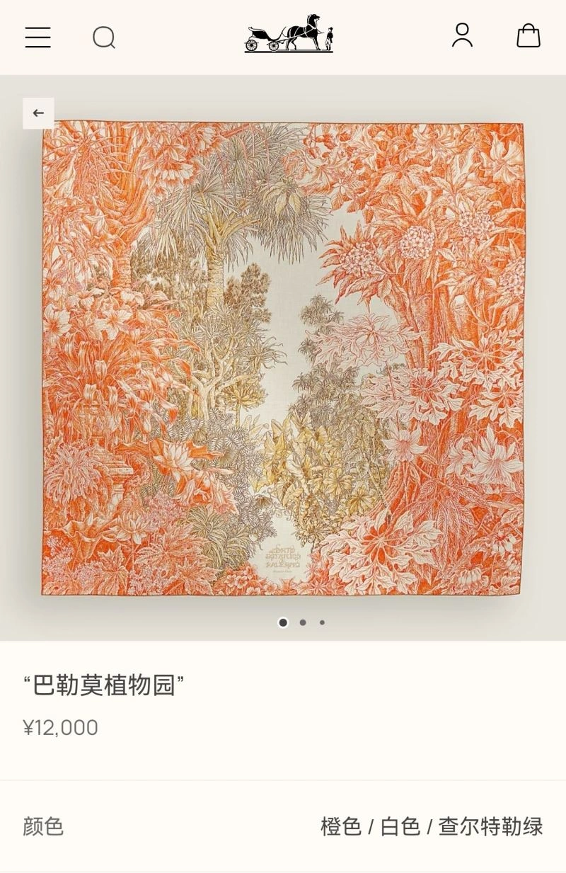 Hermes Scarf