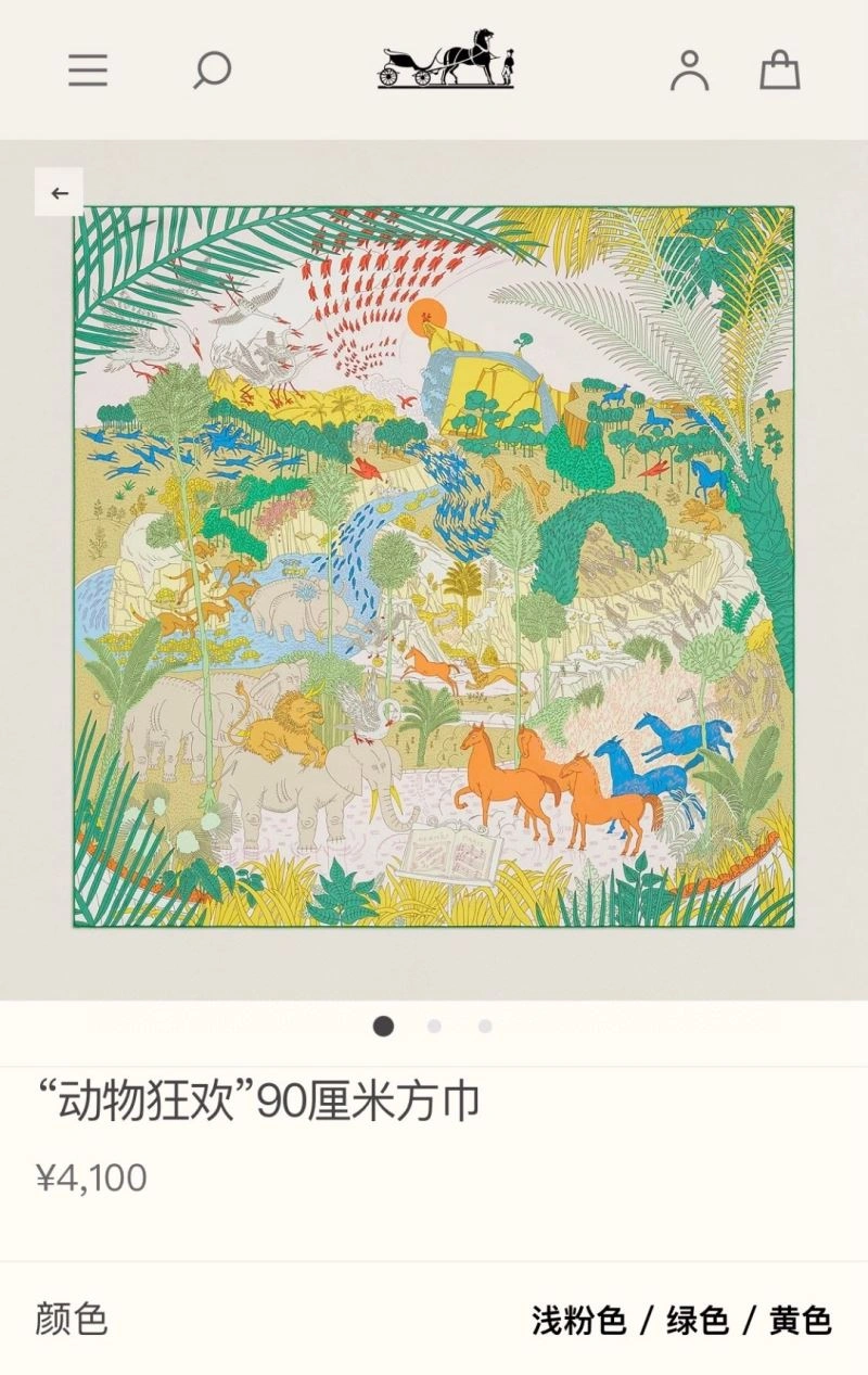 Hermes Scarf
