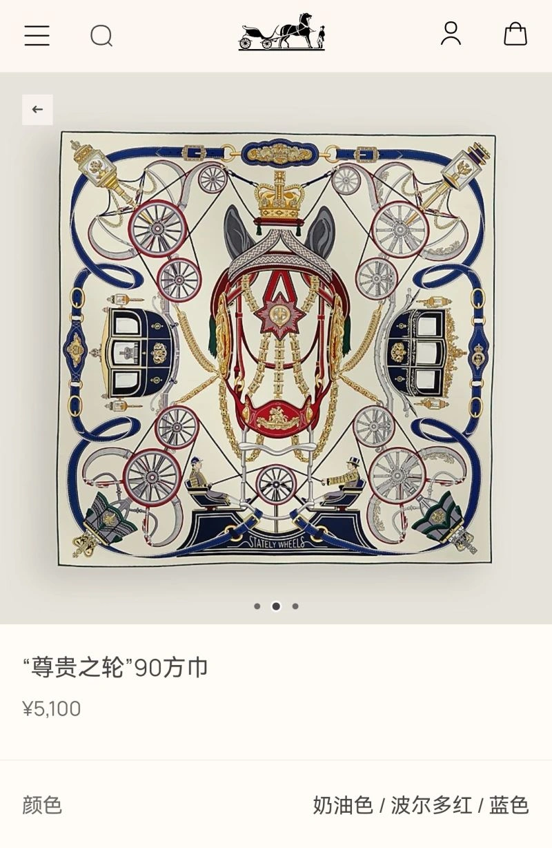 Hermes Scarf
