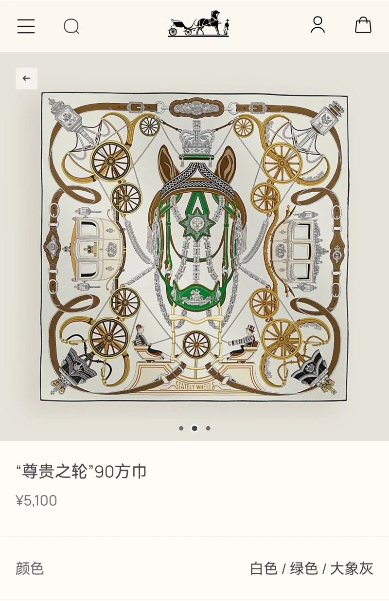 Hermes Scarf