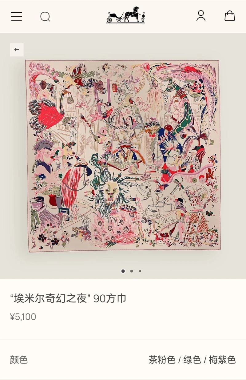 Hermes Scarf