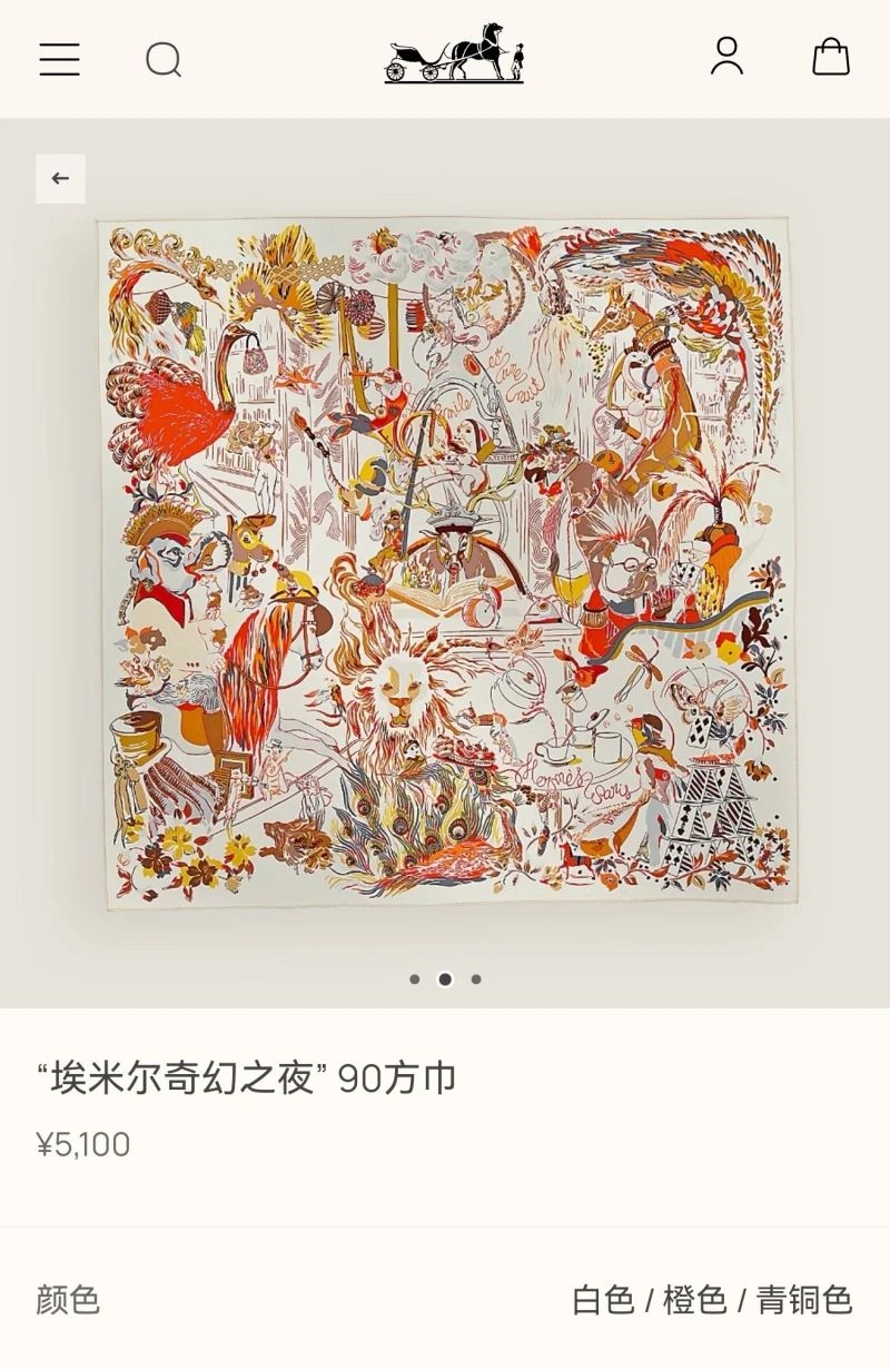 Hermes Scarf