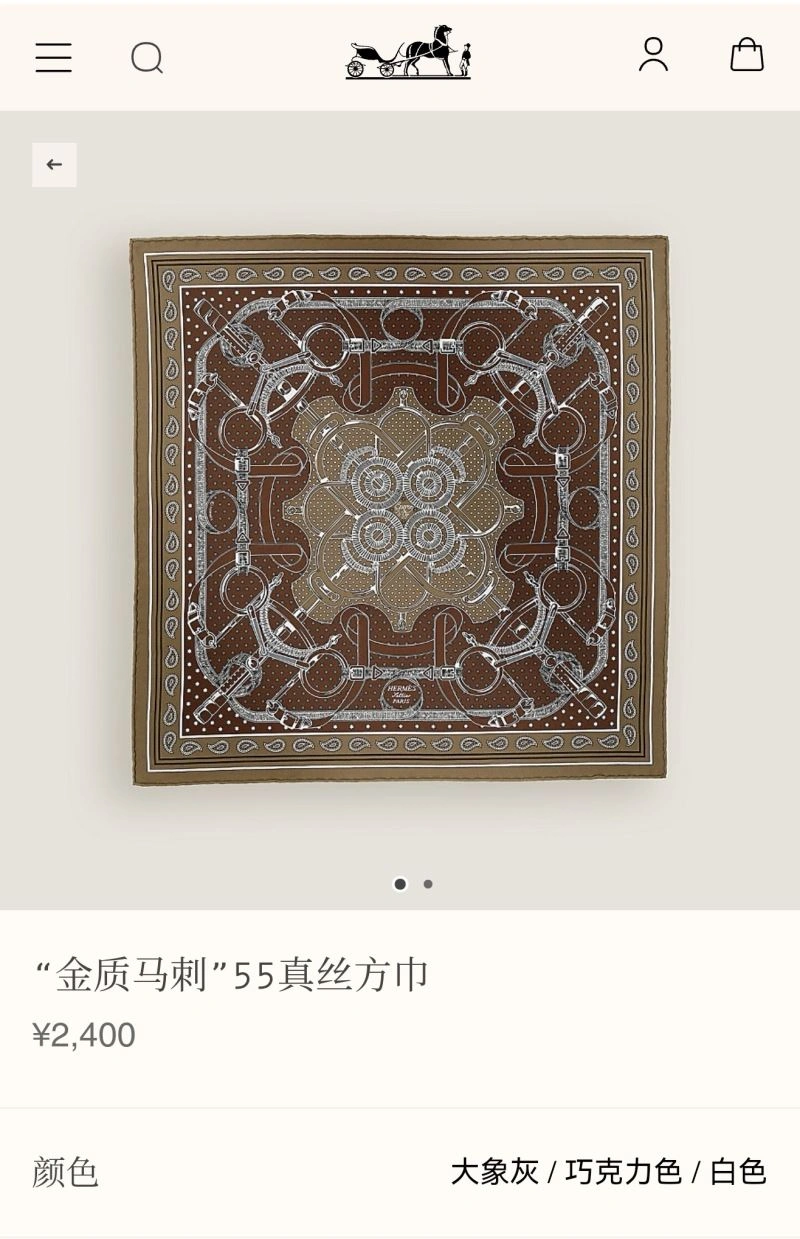 Hermes Scarf