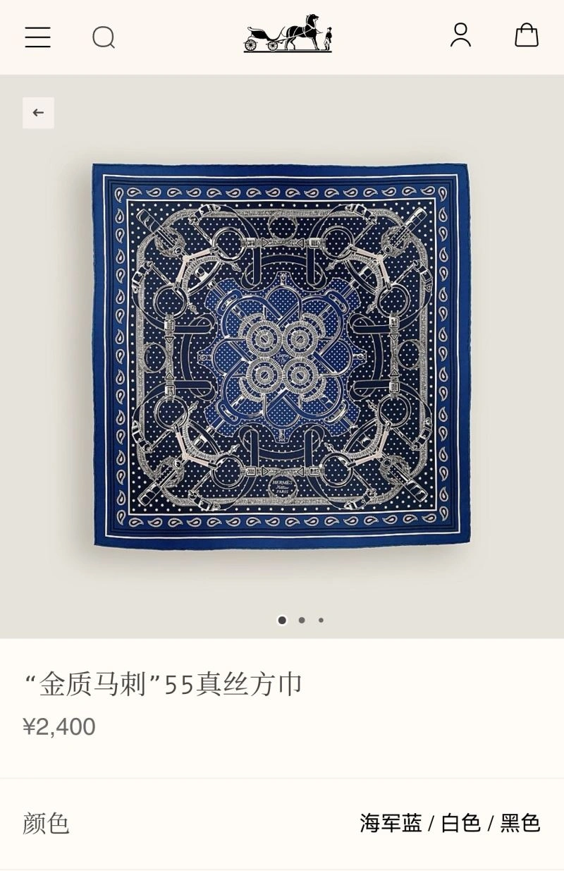 Hermes Scarf