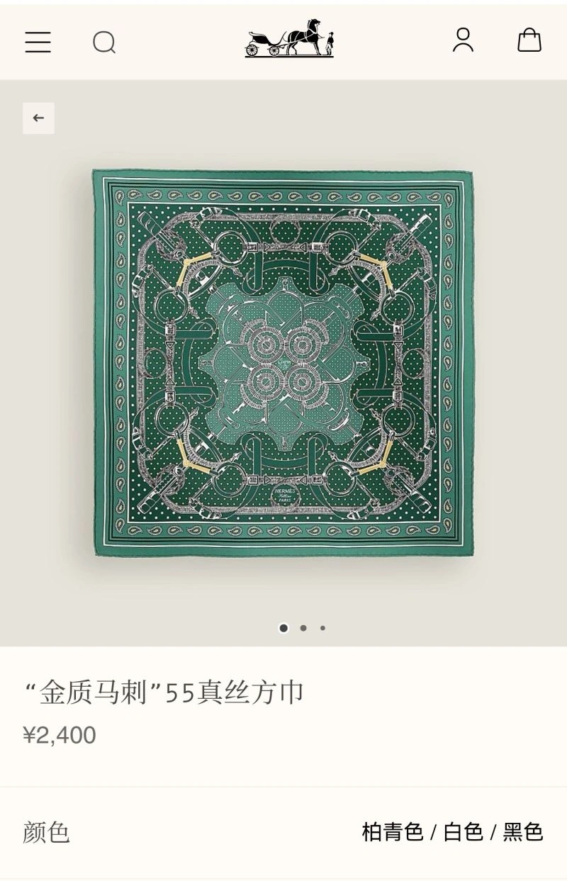Hermes Scarf