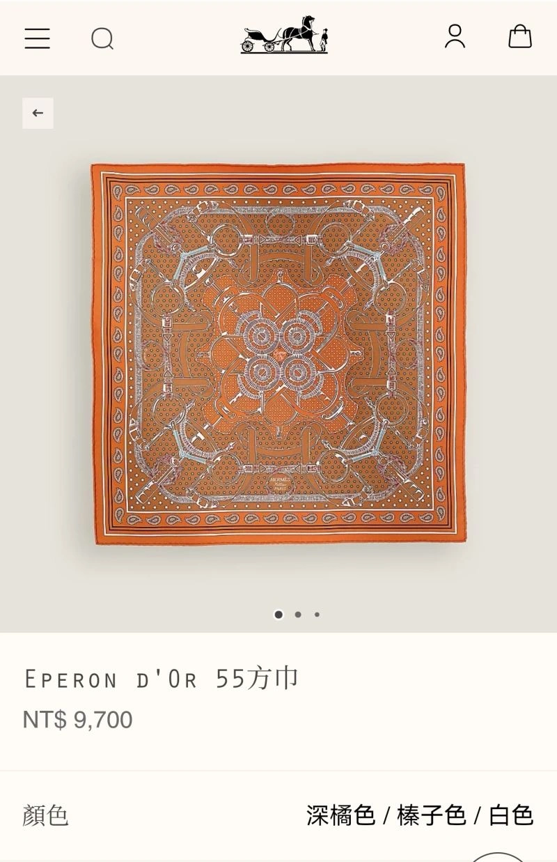 Hermes Scarf