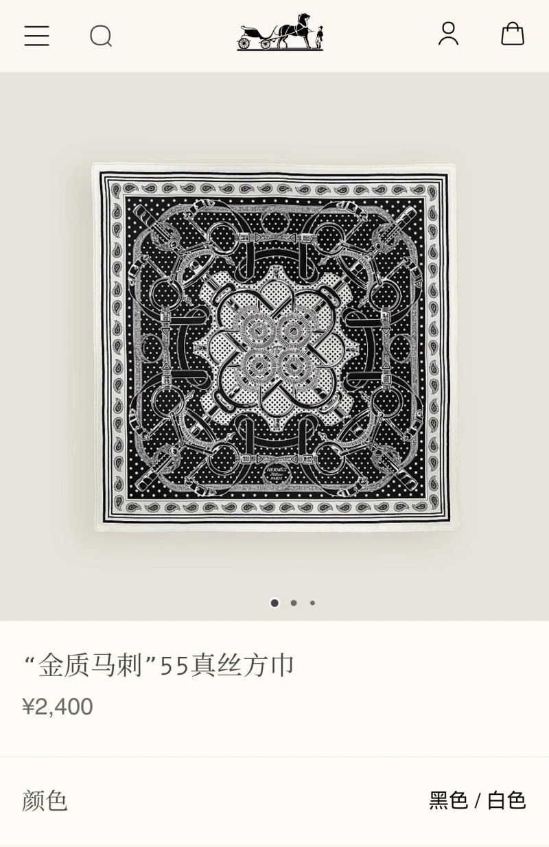 Hermes Scarf