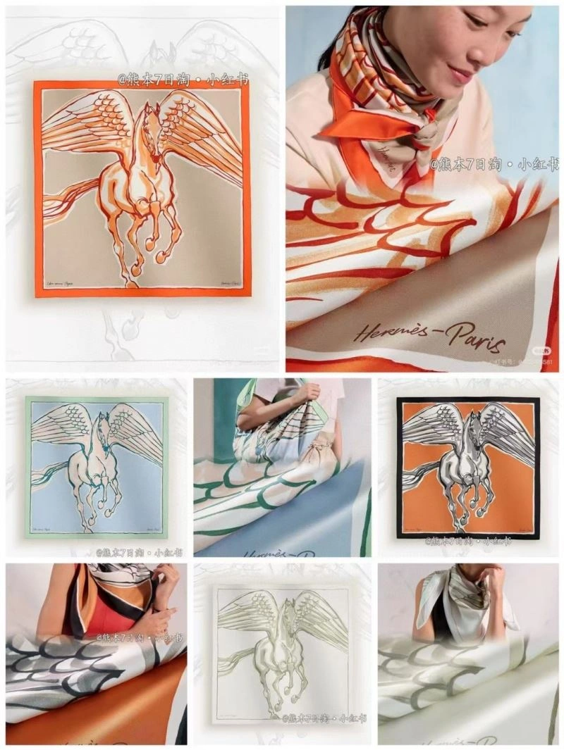 Top match Hermes Scarf