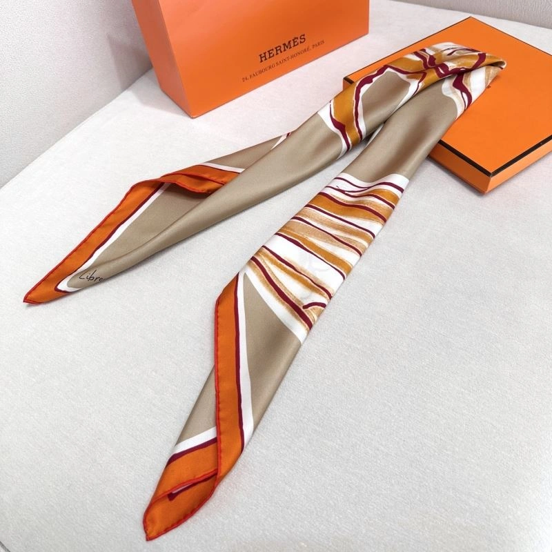 Top match Hermes Scarf