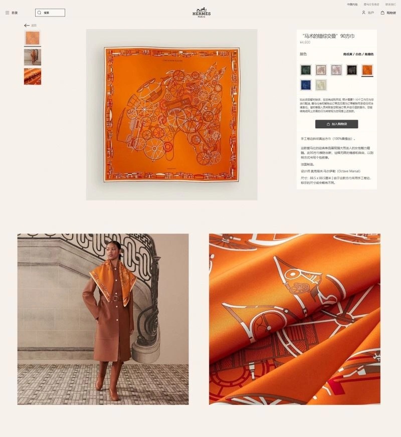 Hermes Scarf