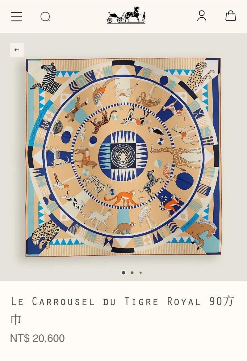 Hermes Scarf