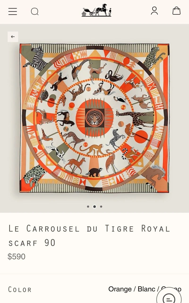 Hermes Scarf