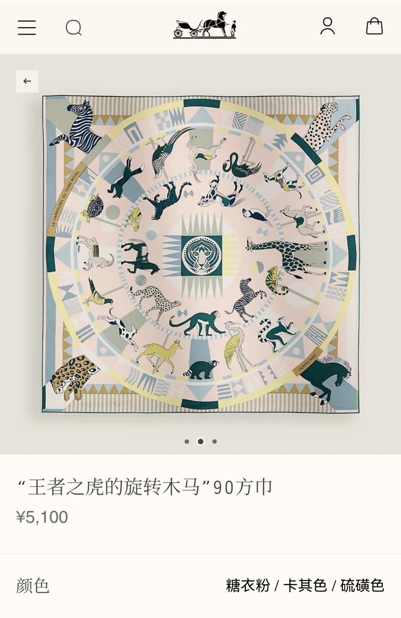 Hermes Scarf