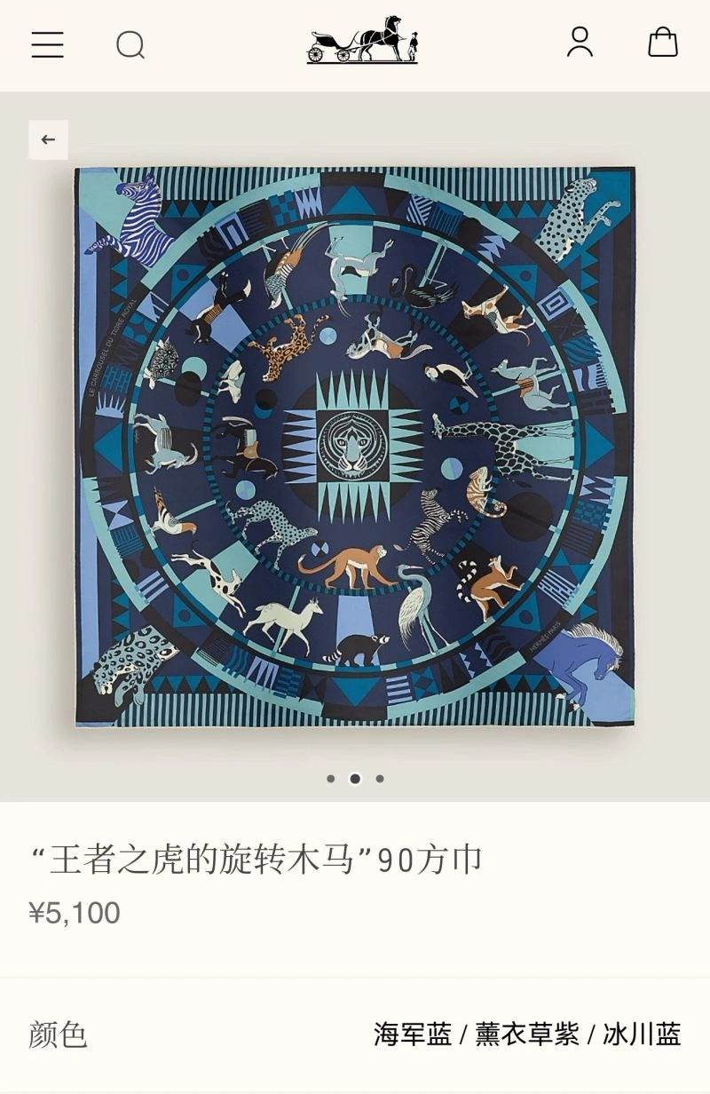Hermes Scarf