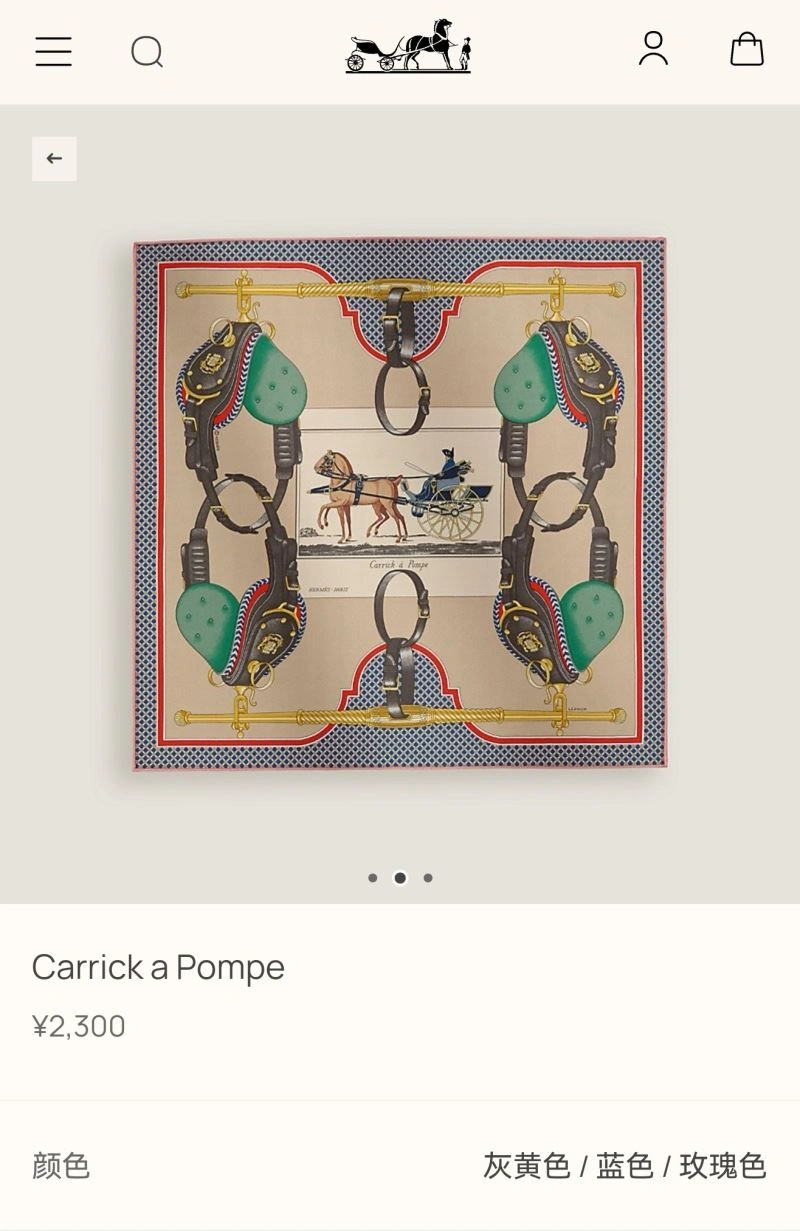 Hermes Scarf